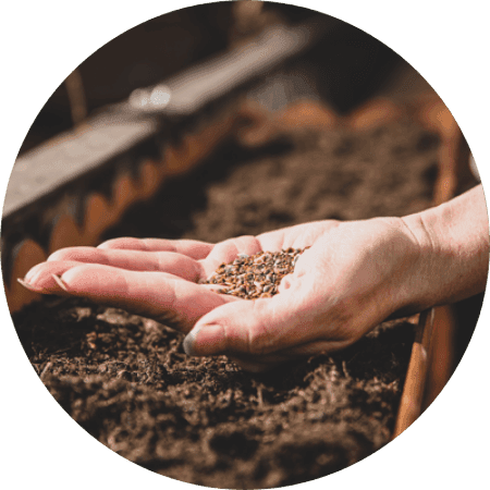 re:grow | WWF-Canada